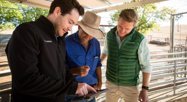 Bucki Pastoral: Improving operations with tech - AgriWebb