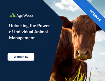 Unlocking the power of individual animal management - AgriWebb