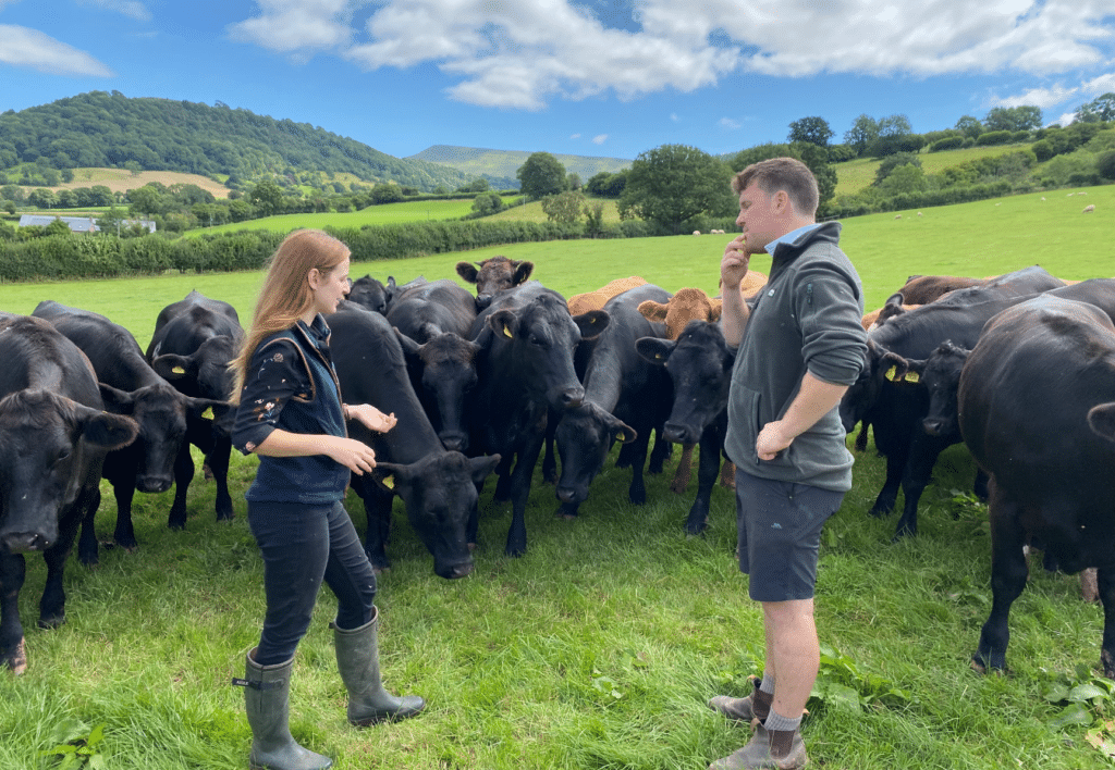 ABP Gamechanger: Ensuring success throughout the supply chain - AgriWebb